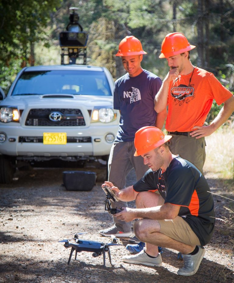 Drones on smaller acreage woodlands « TreeTopics