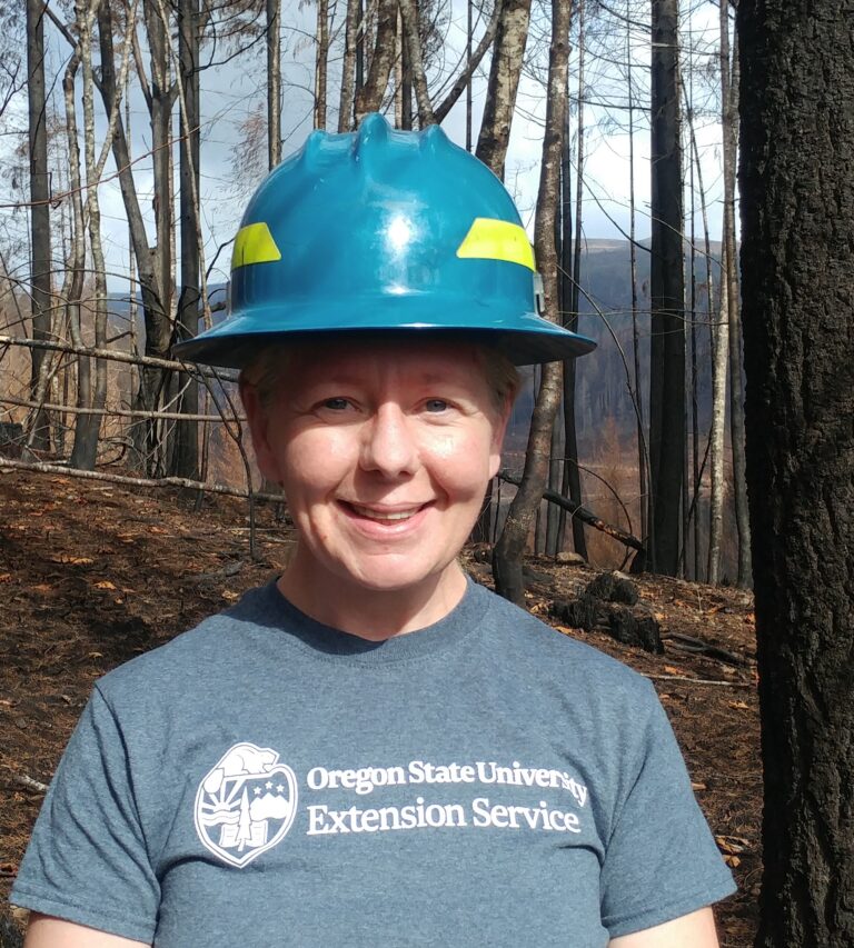 November « 2020 « TreeTopics