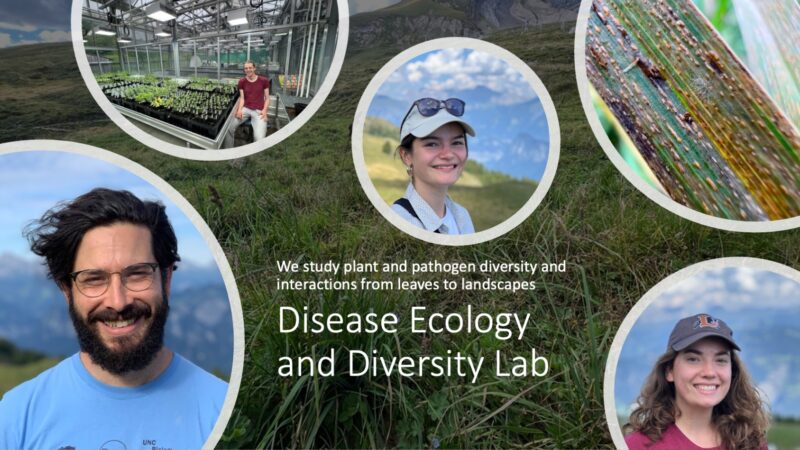 Disease Ecology and Diversity Lab