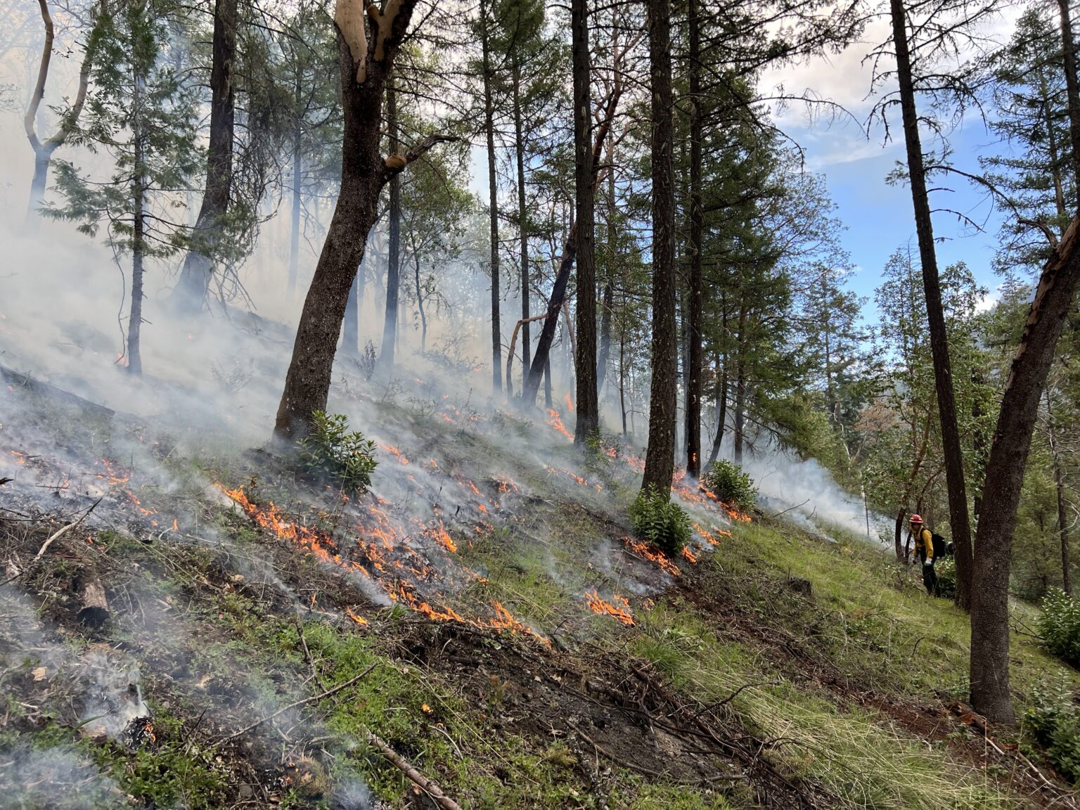 IGNITE Prescribed Fire Trainings