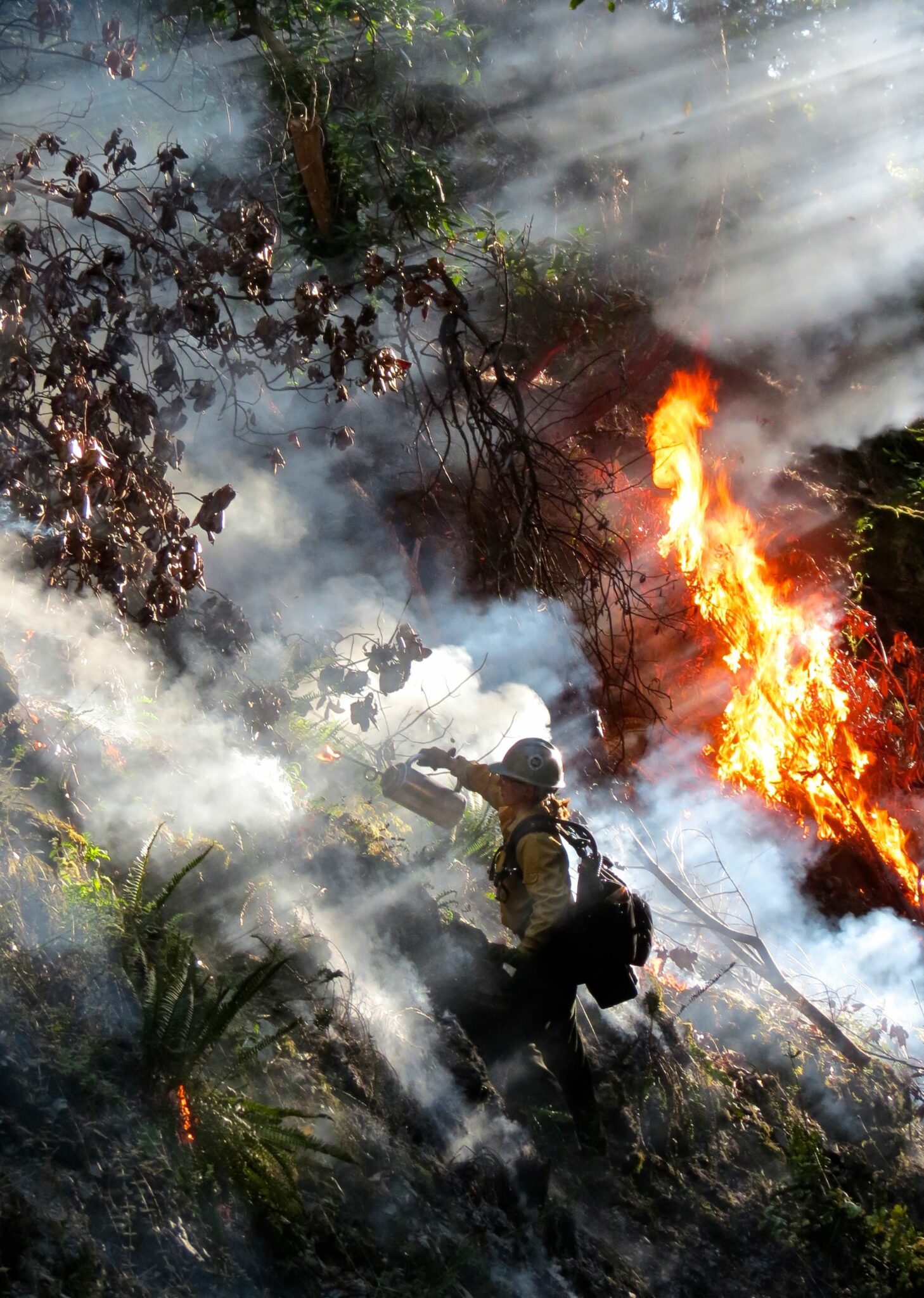 IGNITE Prescribed Fire Trainings