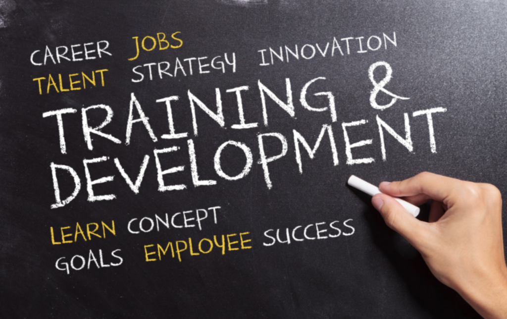 Optimizing HR Training: A Reflection on Effective and Ineffective ...